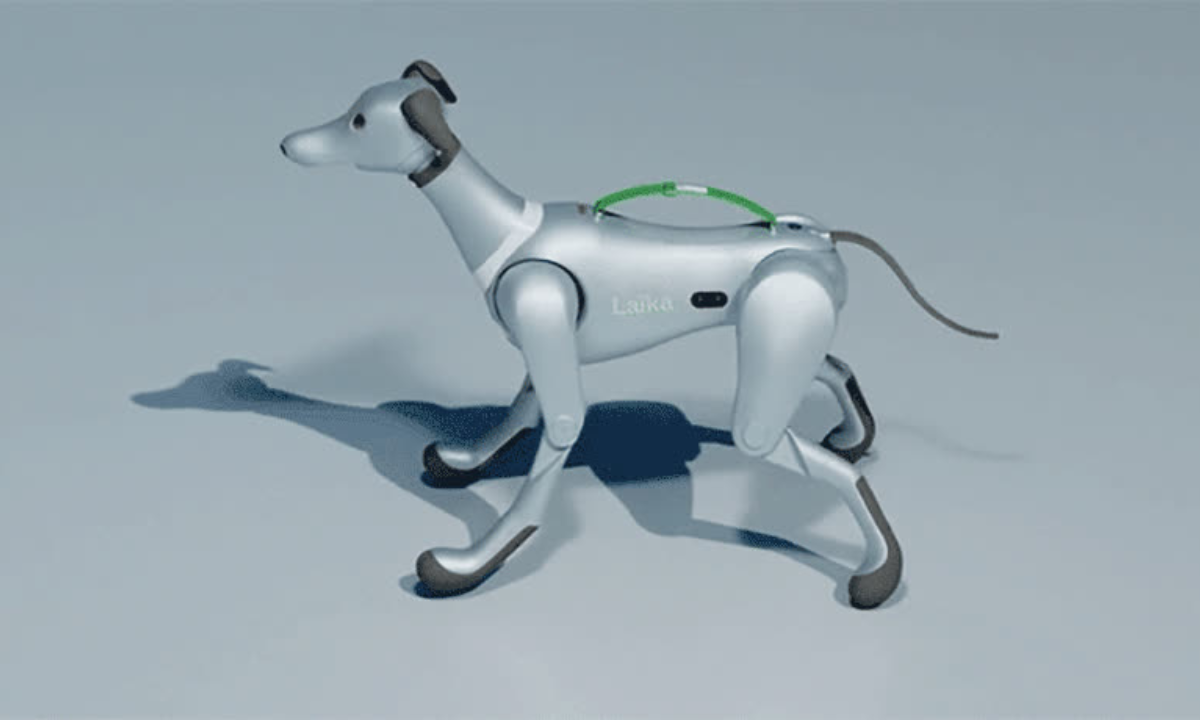 Cómo los Perros Robot Transforman Nuestras Vidas Hoy